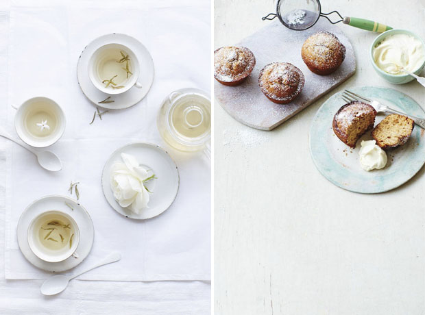 editorial | Kate Wesson