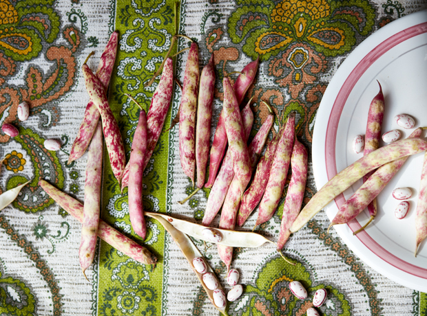 editorial | Kate Wesson